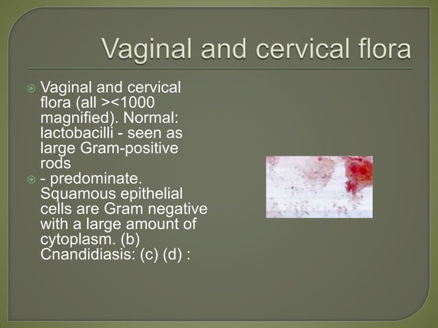 Genital infections in gynecology | PPTX
