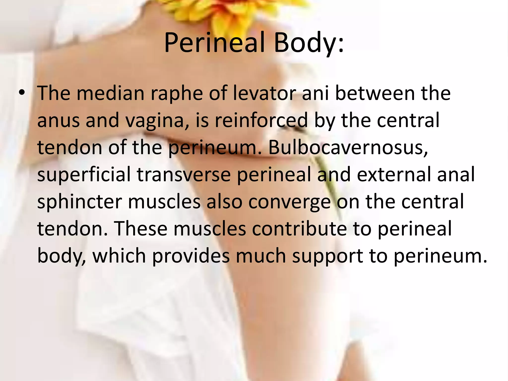 Genital Injuries Obs Nursing Pptx