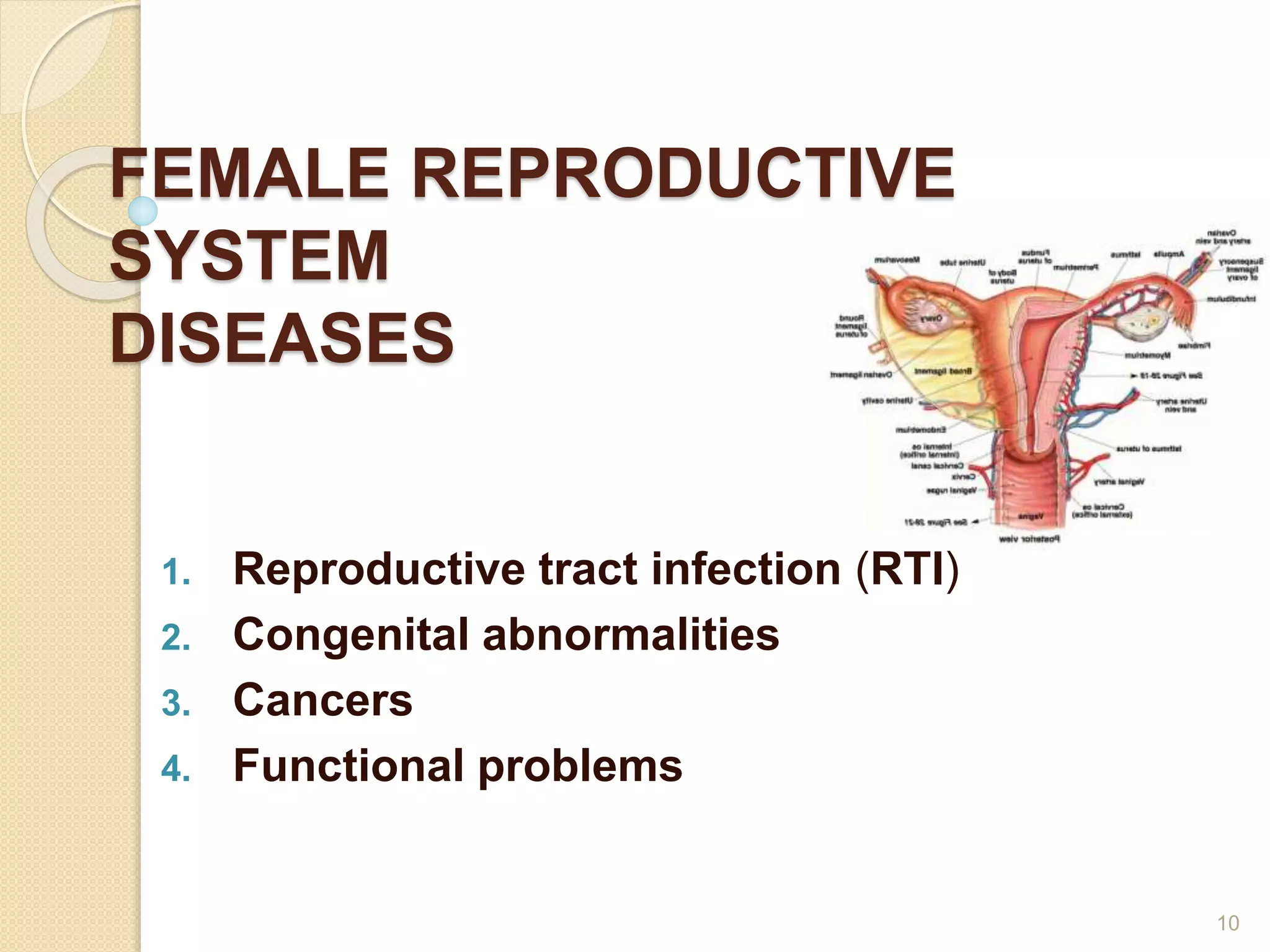Genital reproductive system (grs) | PPTX