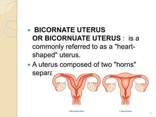 Genital reproductive system (grs) | PPTX