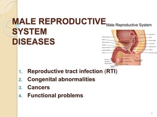 Genital reproductive system (grs) | PPTX