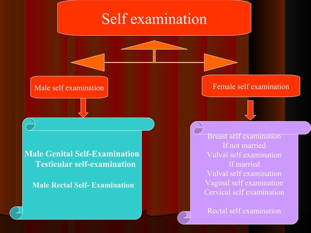 genital self examination | PPT