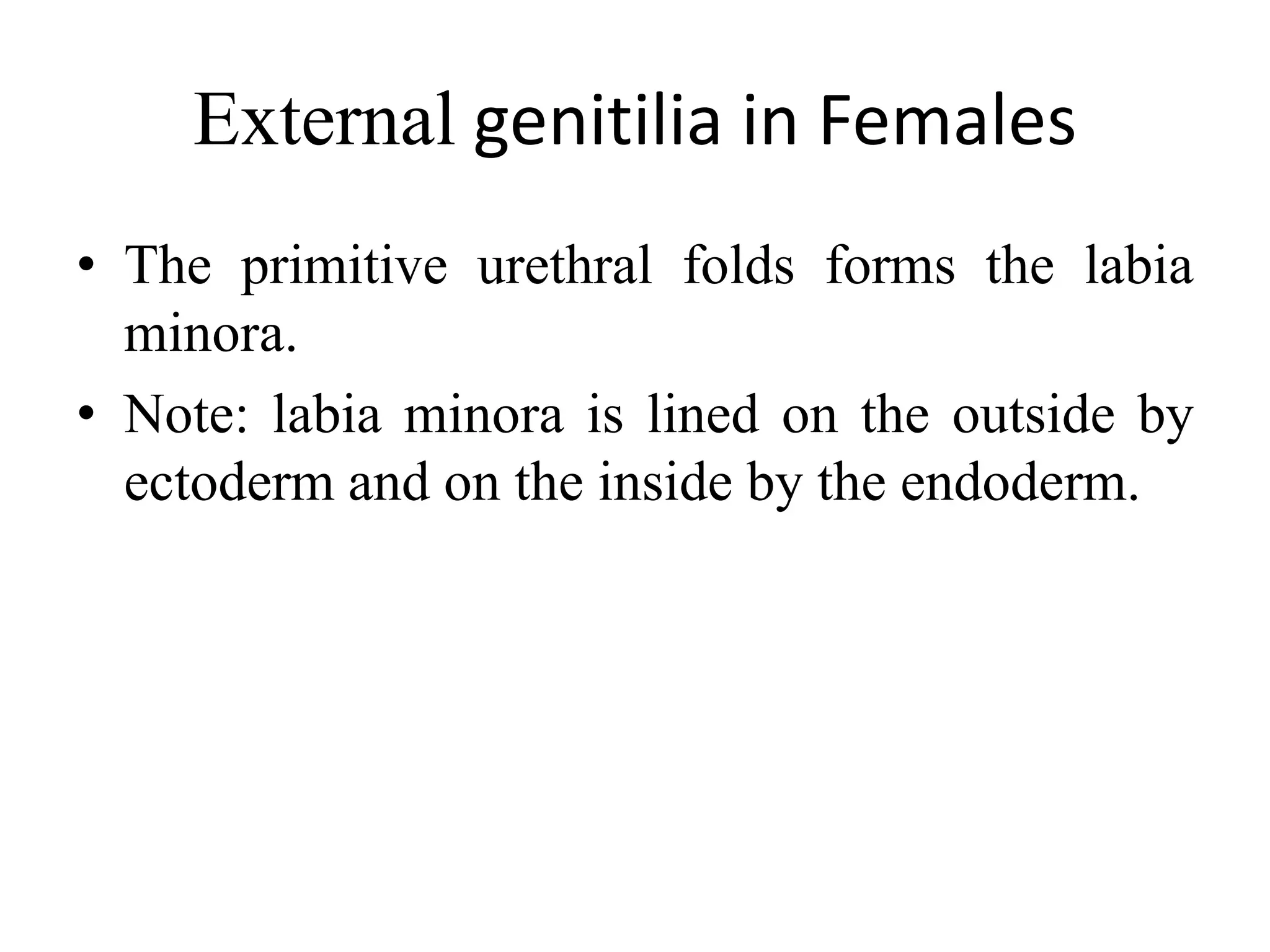 Genital system 2206.pptx
