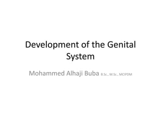 Genital system 2206.pptx