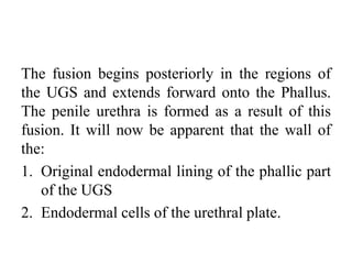 Genital system 2206.pptx