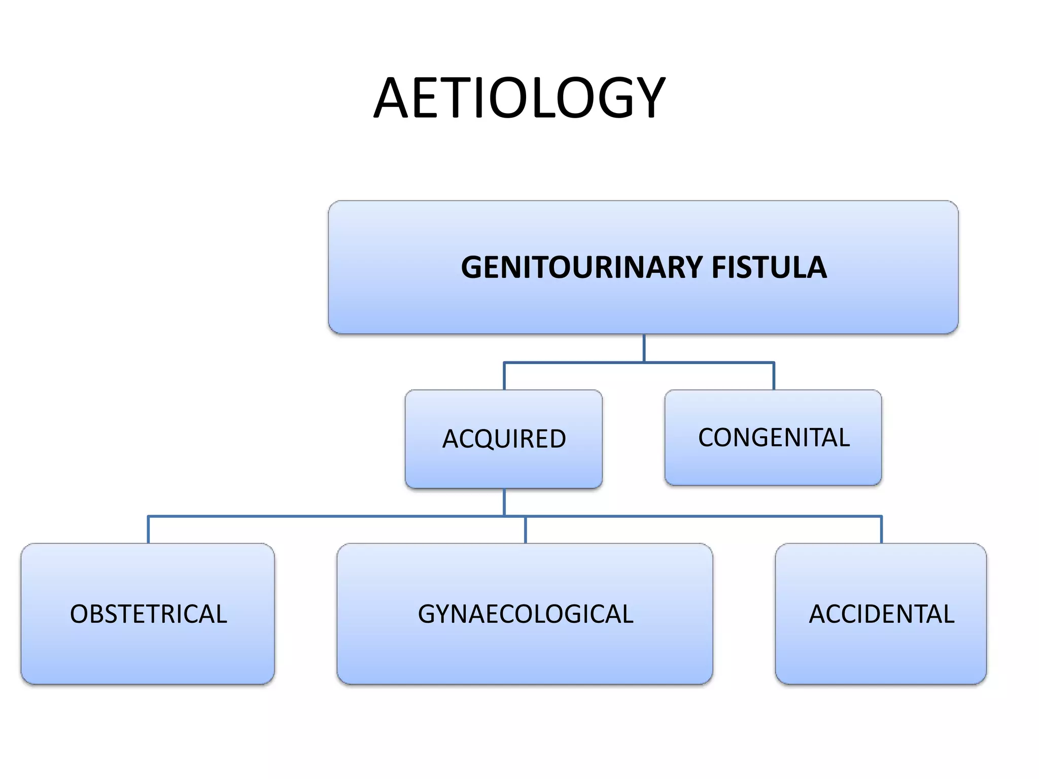 Genital tract fistulas main | PPTX