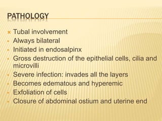 Genital tract infections | PPTX