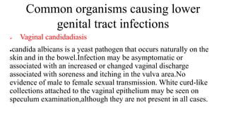 GENITAL TRACT INFECTIONS.pptx