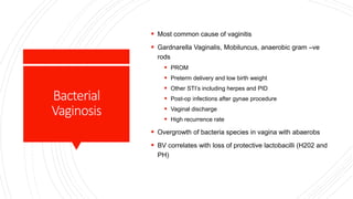 Genital Tract Infections.pptx GIT for F and M | PPTX