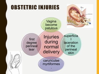 Genital tract injuries1 | PPTX