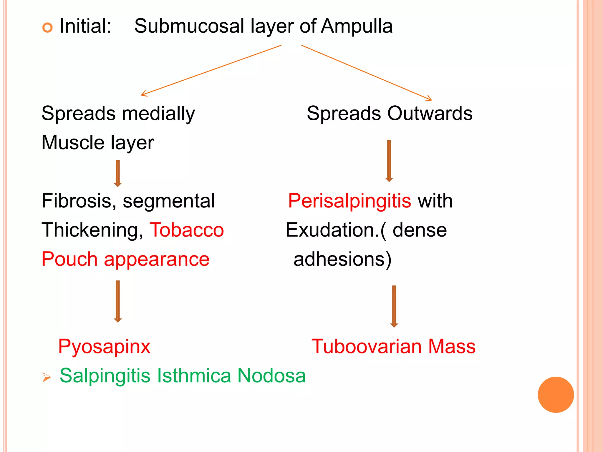 Genital tuberculosis | PPTX