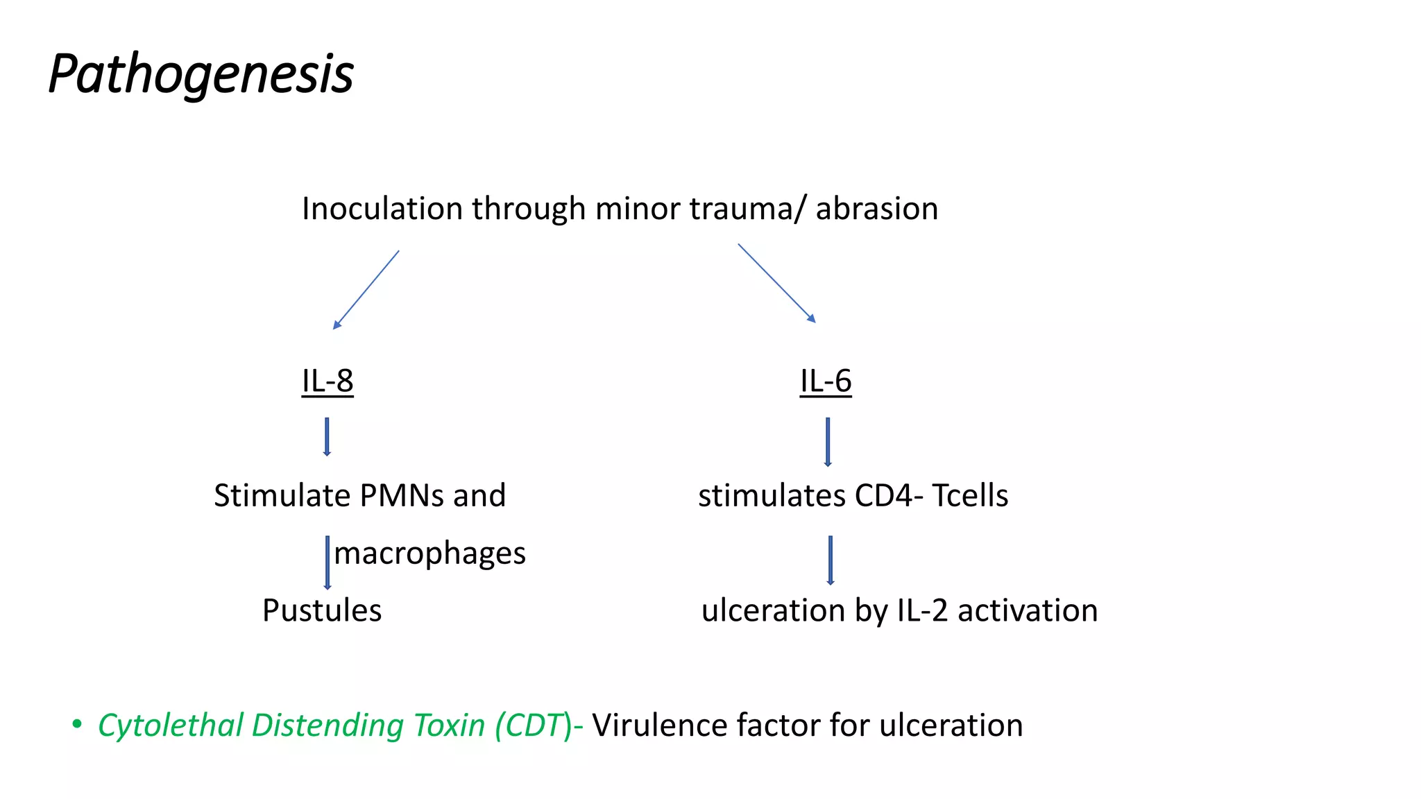 genital ulcer.pptx