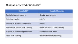 genital ulcer.pptx