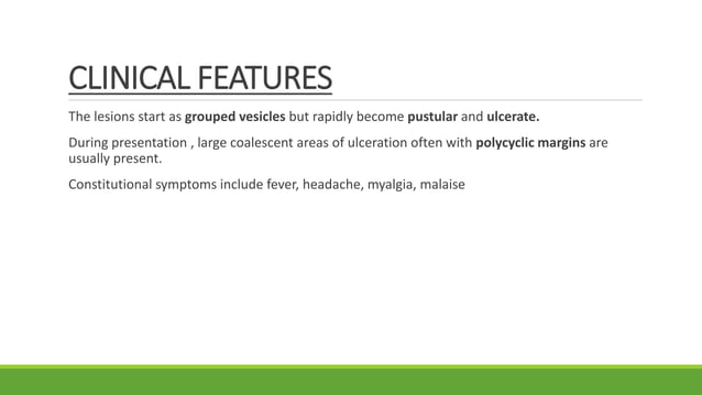 GENITAL ULCERS | PPTX | Infectious Diseases | Diseases and Conditions