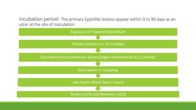 GENITAL ULCERS | PPTX | Infectious Diseases | Diseases and Conditions