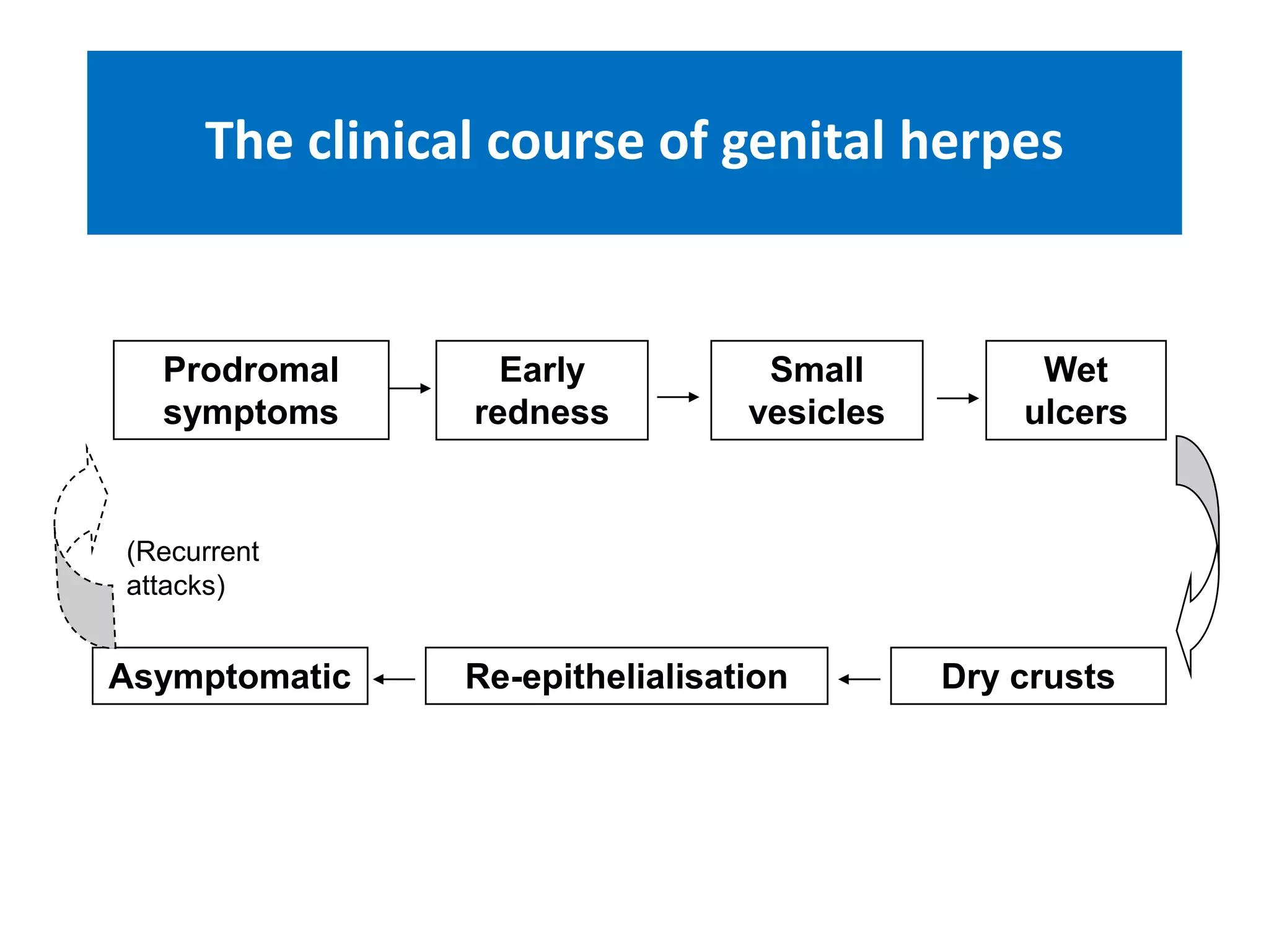 Genital ulcer syndro.pptx