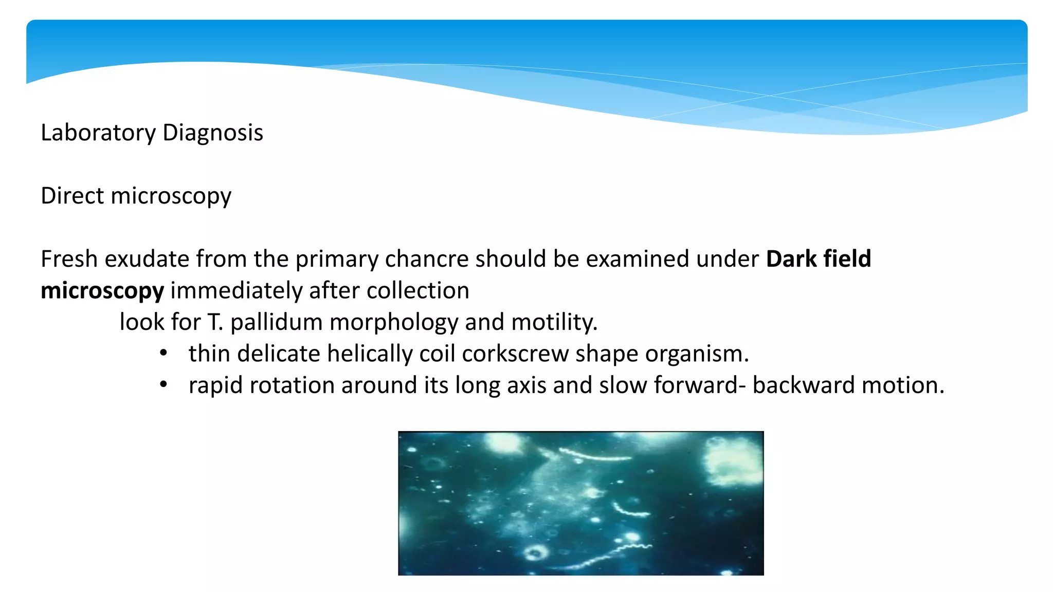 Genital ulcers | PPTX