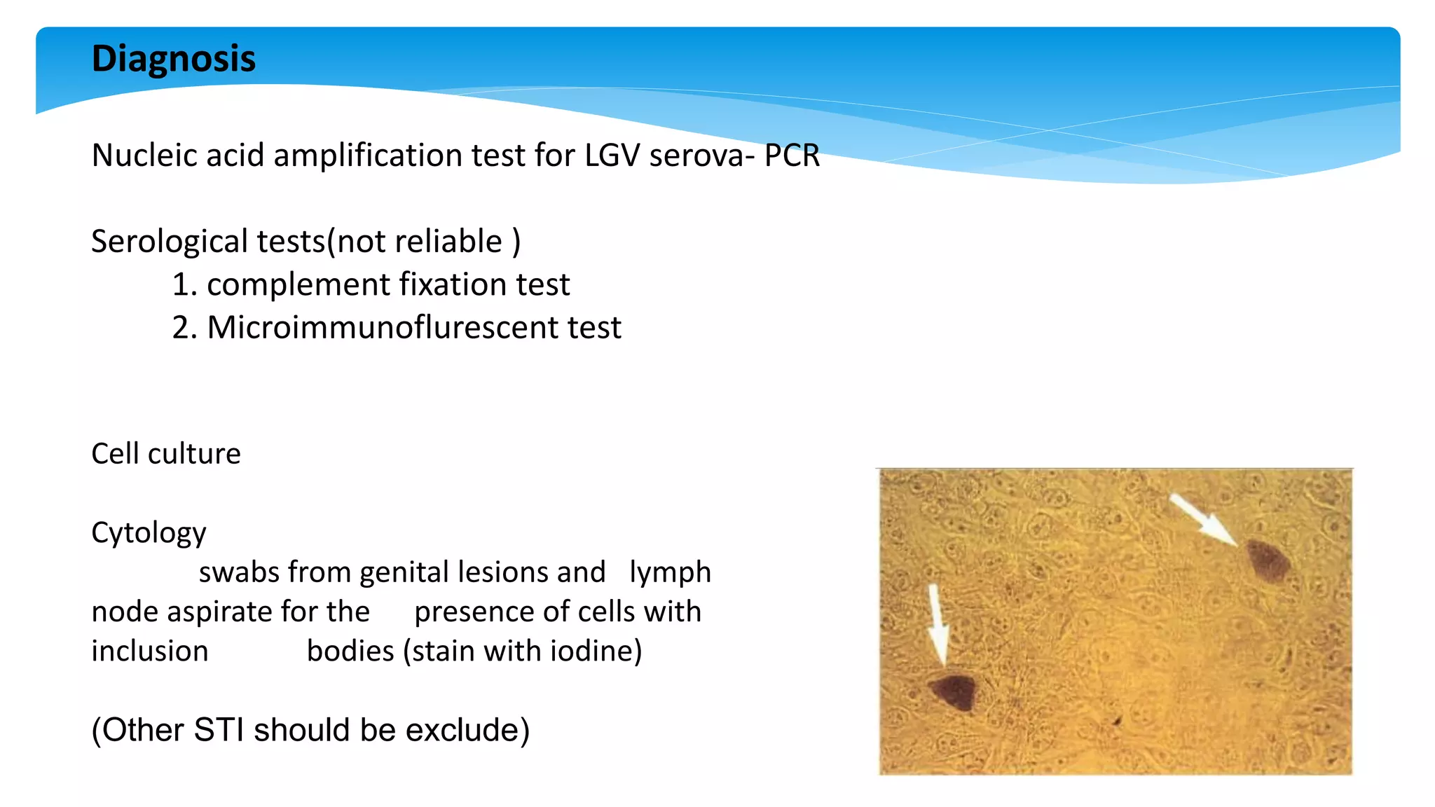 Genital ulcers | PPTX