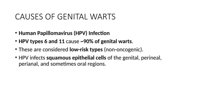 GENITAL WARTS. microbiology condylomata acuminata | PPTX
