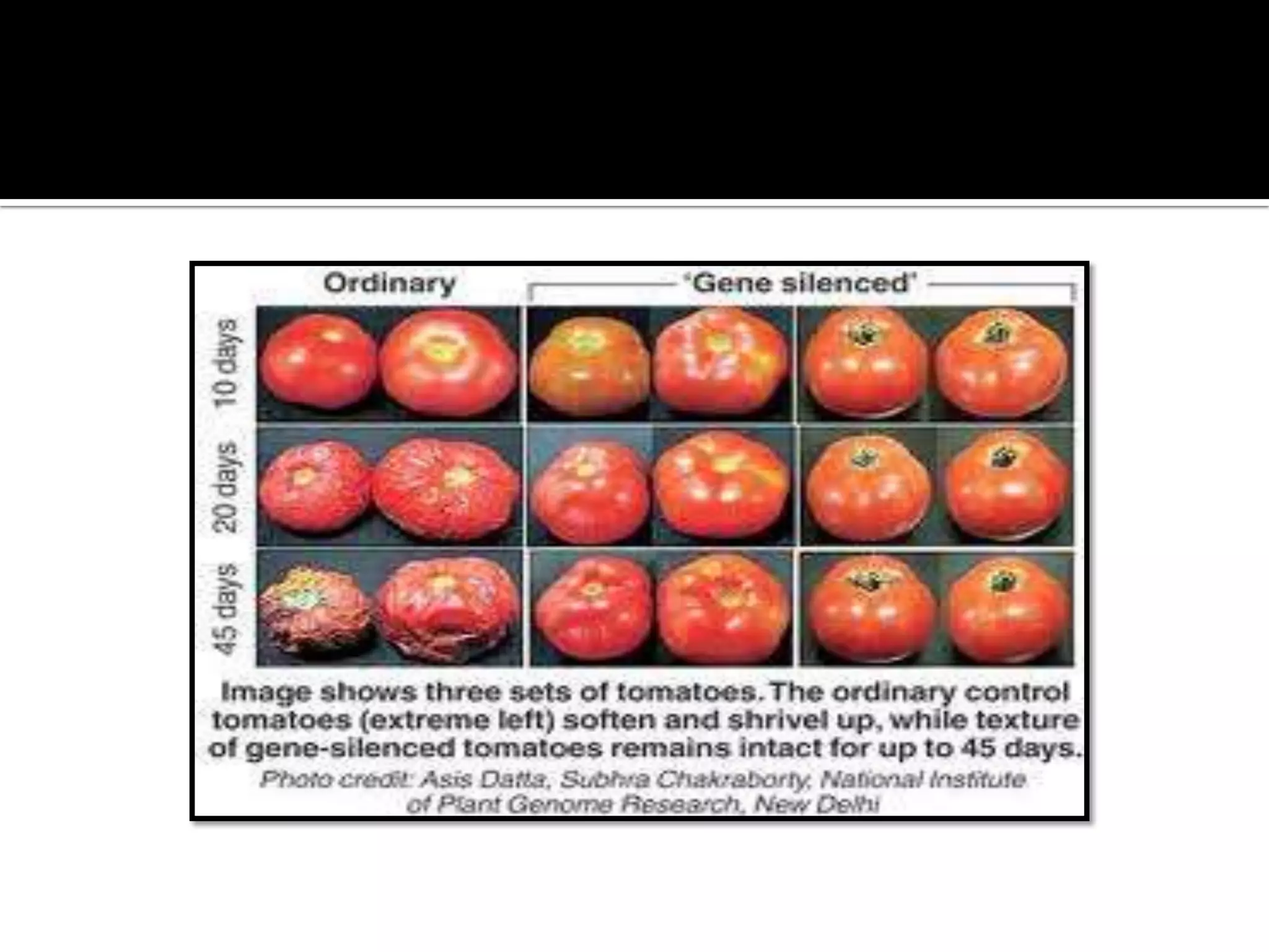 Genitically modified food (gmf) | PPTX