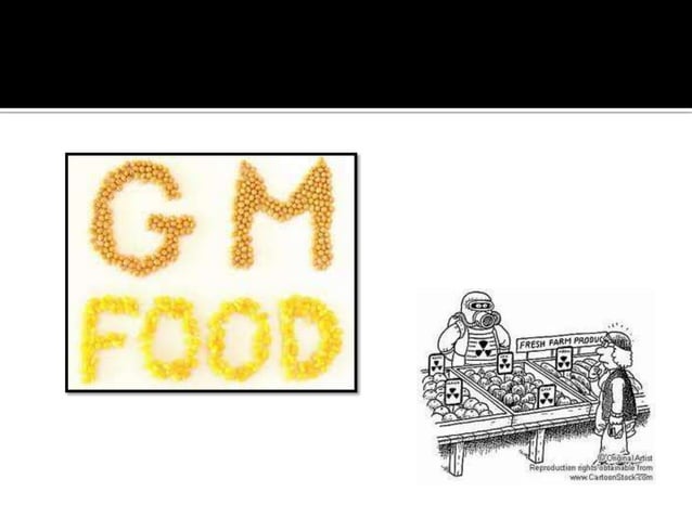Genitically modified food (gmf) | PPTX | Agriculture | Industries