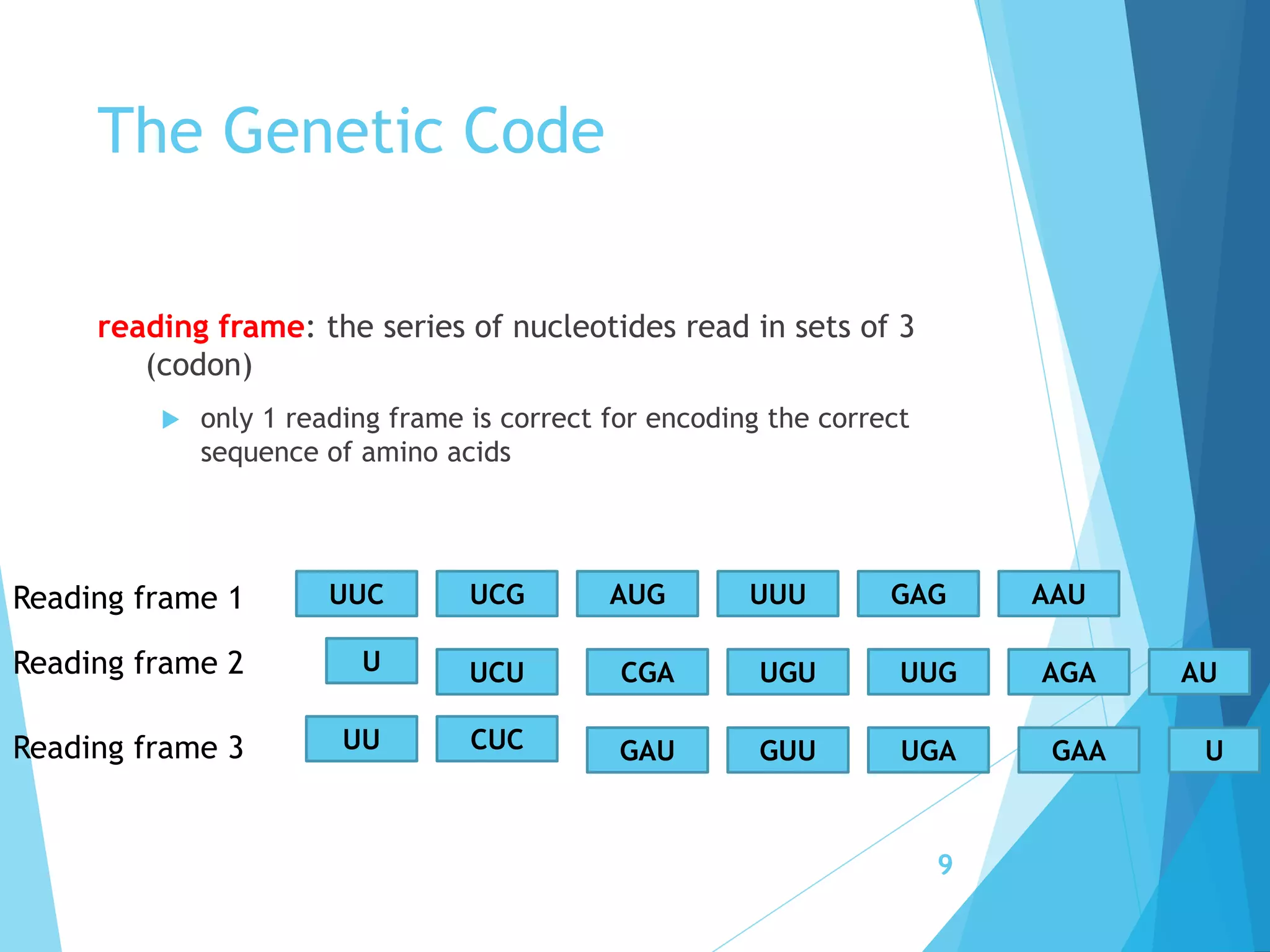 Genetic code | PPT