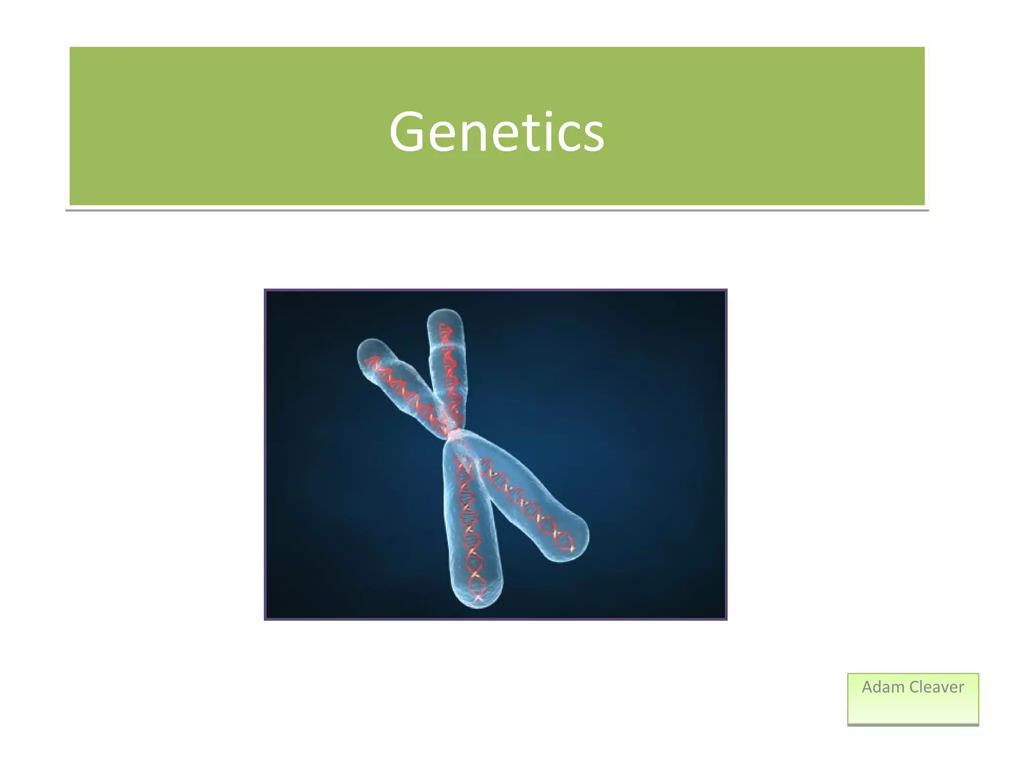 Genitics and inheritance | PPT