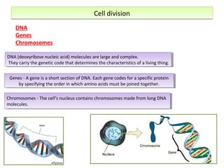 Genitics and inheritance | PPT