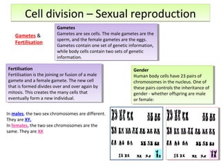 Genitics and inheritance | PPT