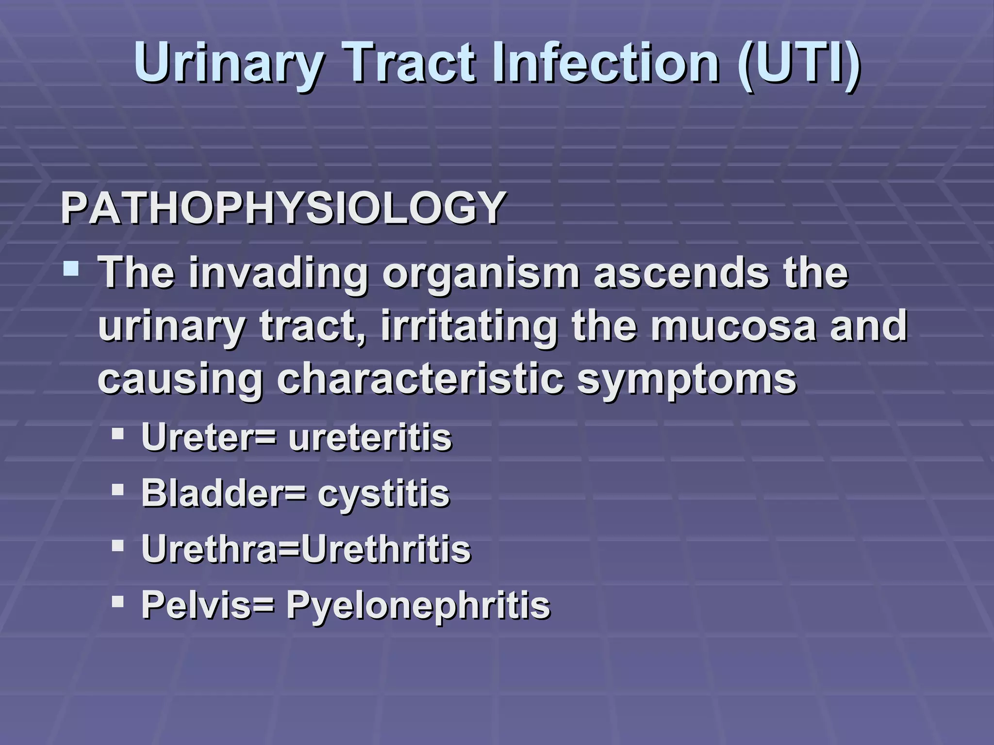 Genito Urinary System | PPT