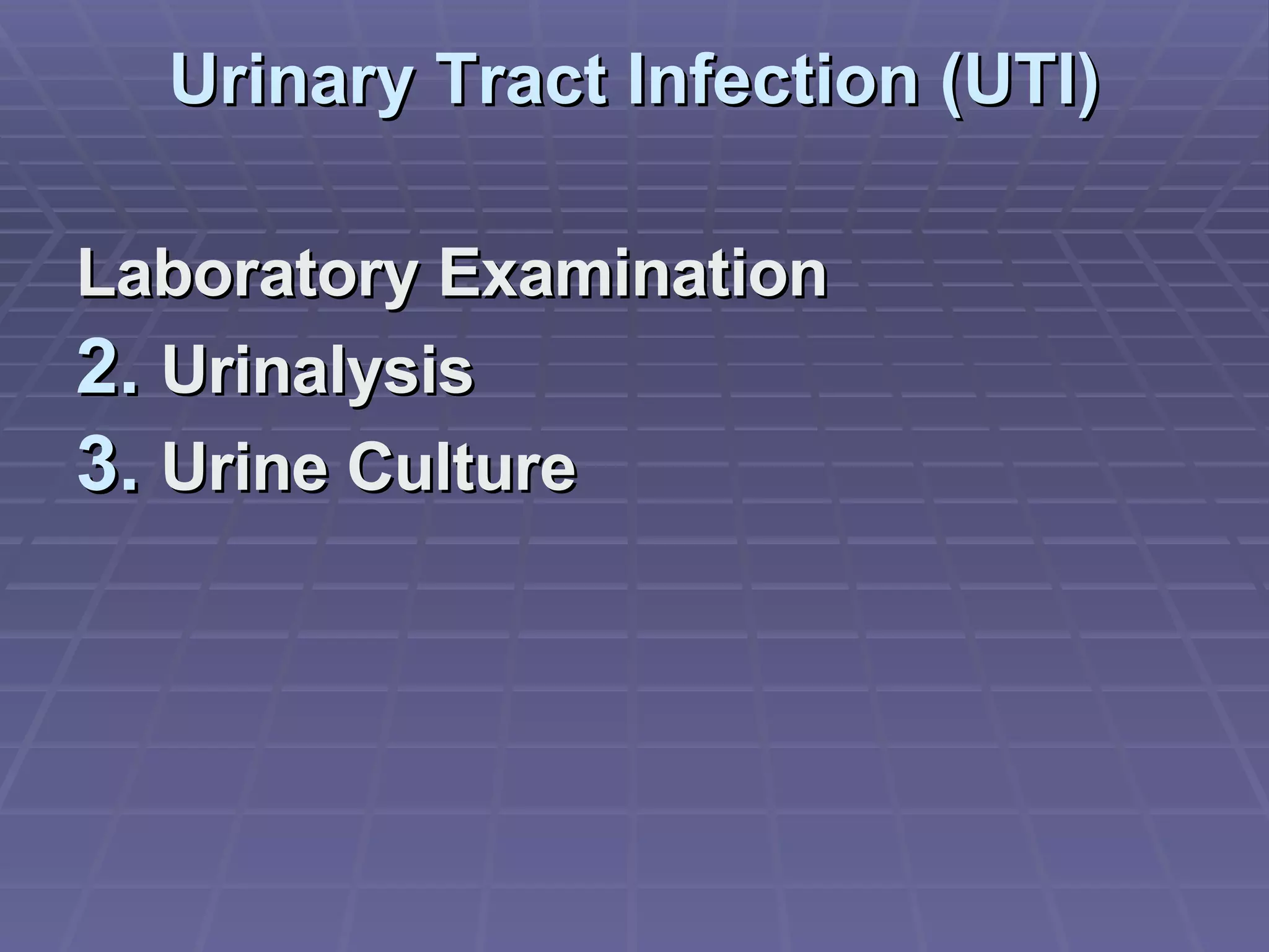 Genito Urinary System | PPT