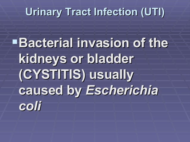 Genito Urinary System | PPT