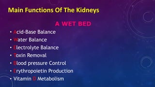 Genito-urinary Surgery And Anesthesia.pptx
