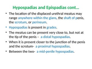 Genito-Urinary surgical disorders for surgical nursess.ppt