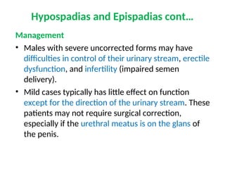 Genito-Urinary surgical disorders for surgical nursess.ppt