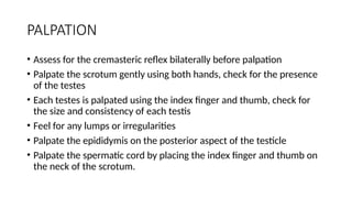 Genitourinaly examination ppt-1.pptx.... | PPTX
