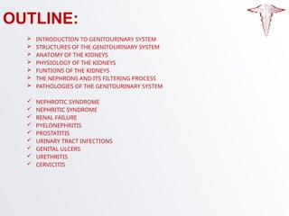 GENITOURINARY system slides relating to genitals | PPTX