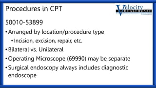 Genitourinary-Systems.pptx