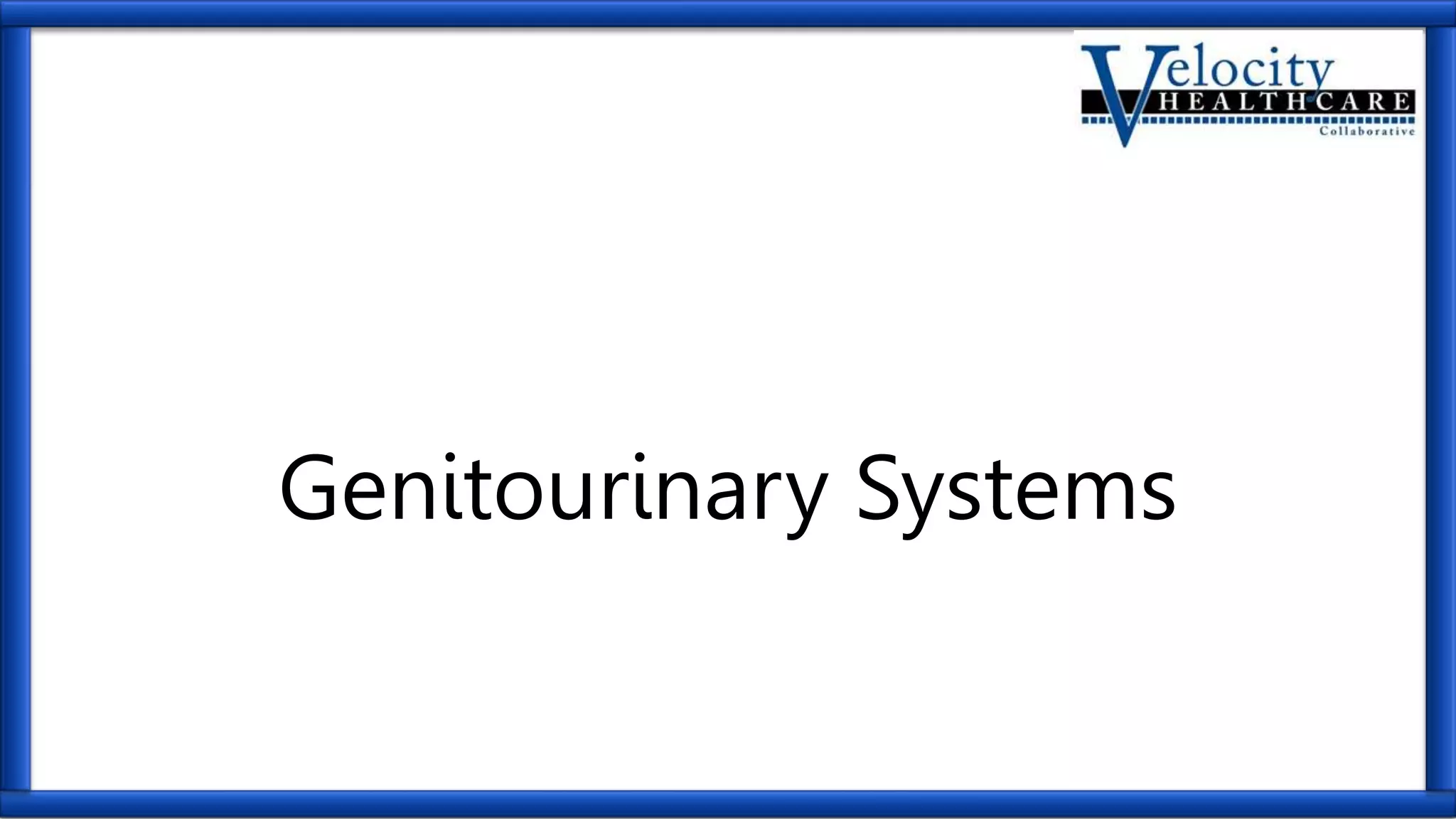Genitourinary-Systems.pptx