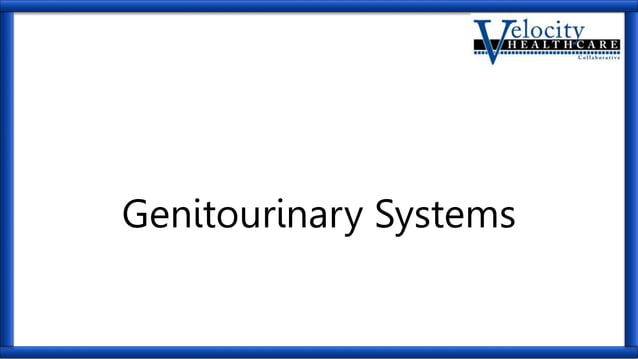 Genitourinary-Systems.pptx