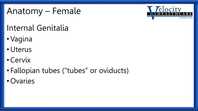 Genitourinary-Systems.pptx