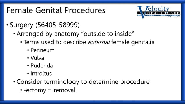 Genitourinary-Systems.pptx