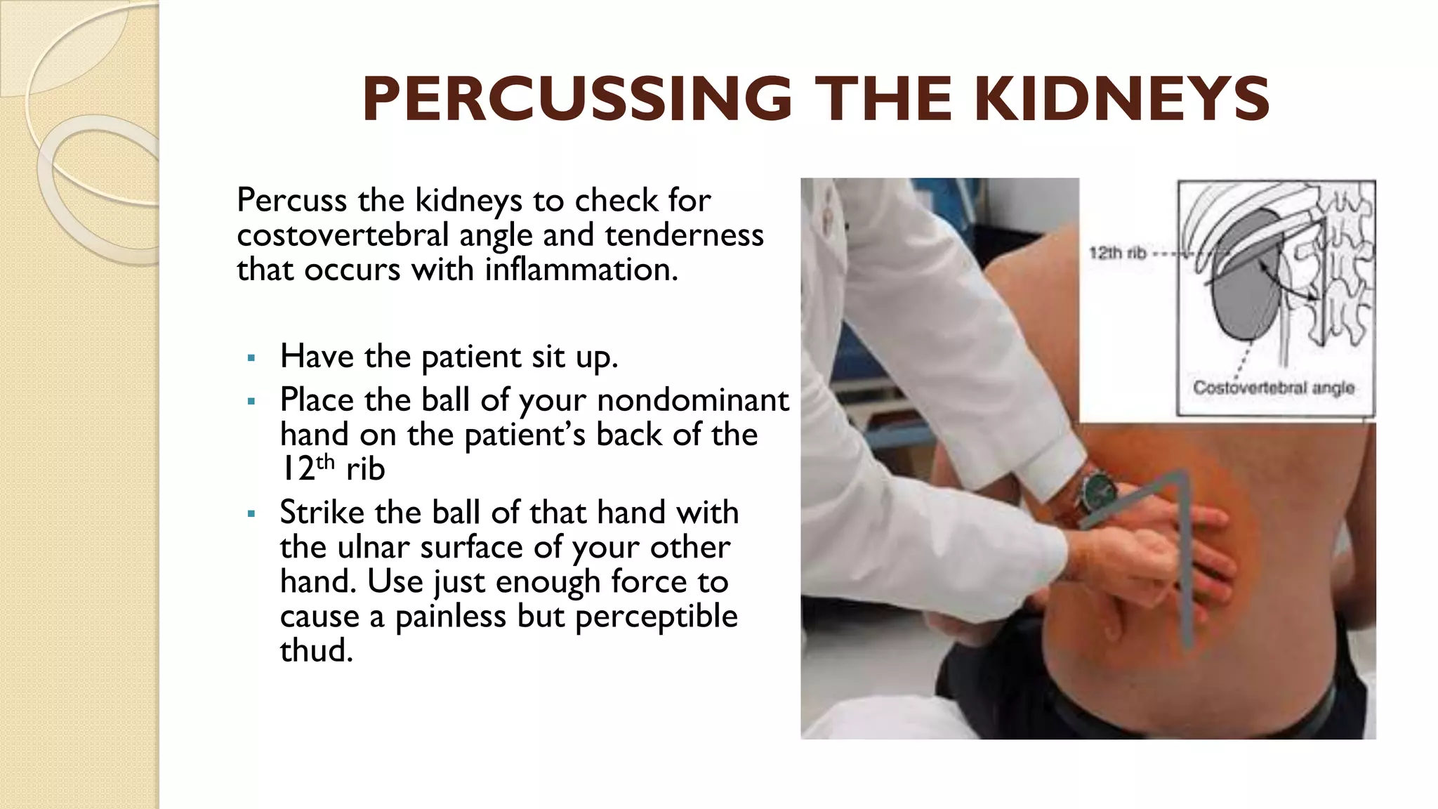 Genitourinary Assessment.pptx