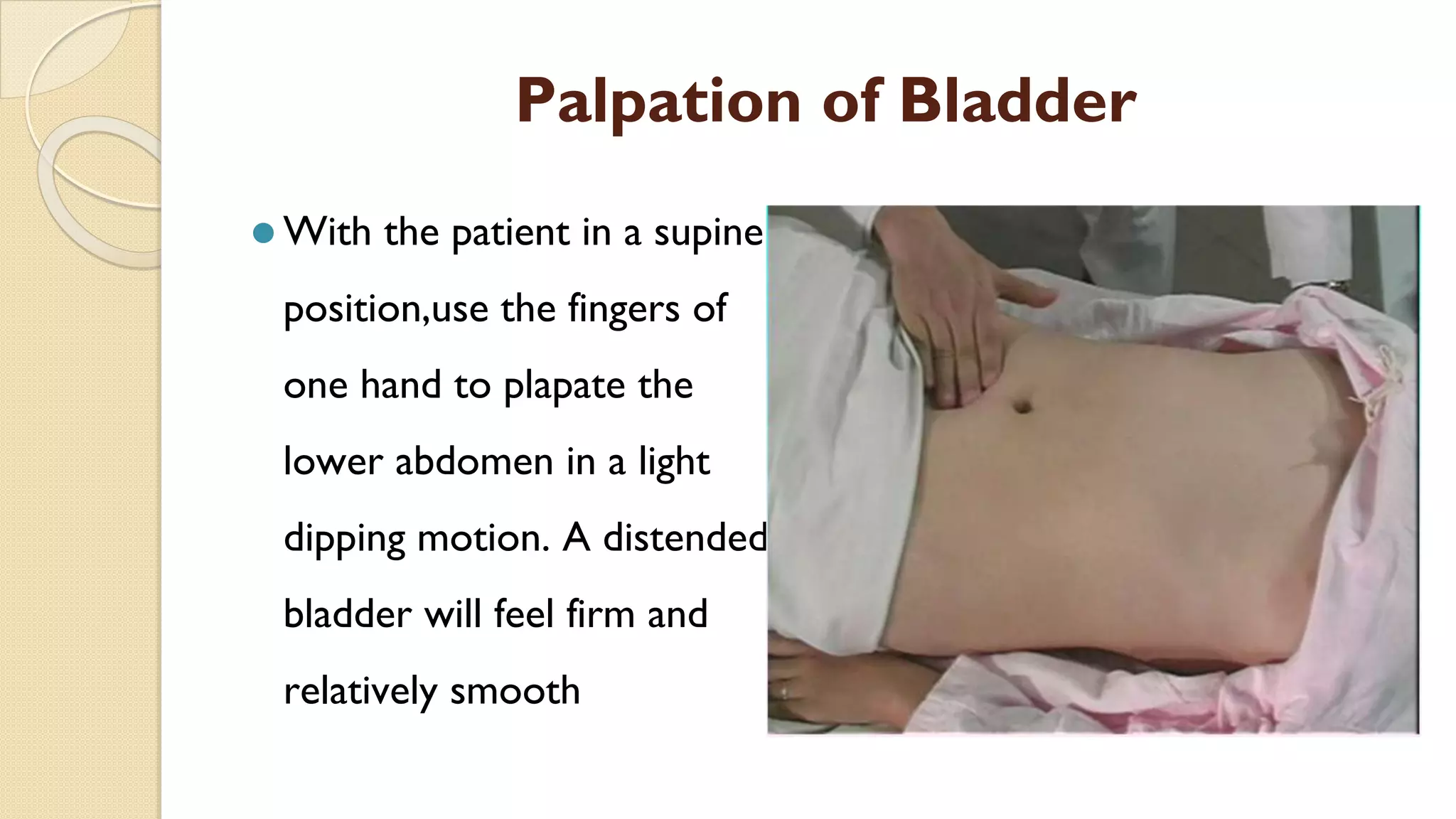 Genitourinary Assessment.pptx