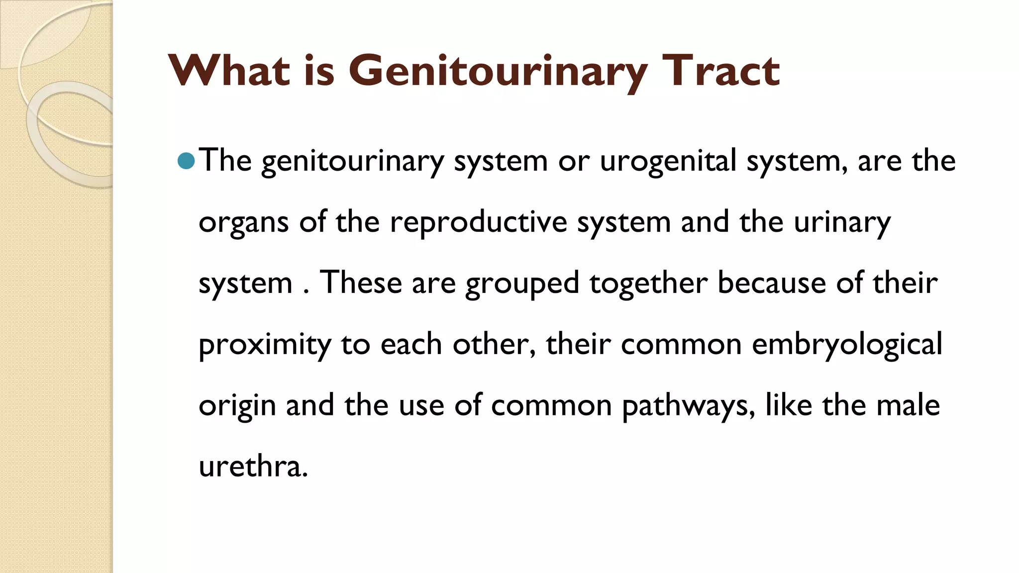 Genitourinary Assessment.pptx