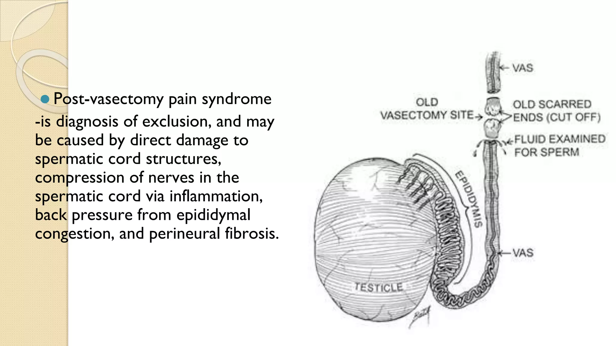 Genitourinary Assessment.pptx