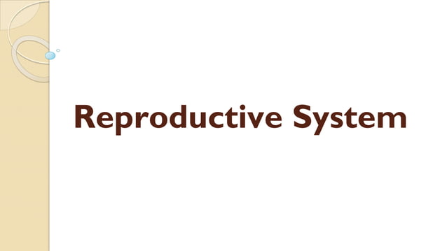 Genitourinary Assessment.pptx
