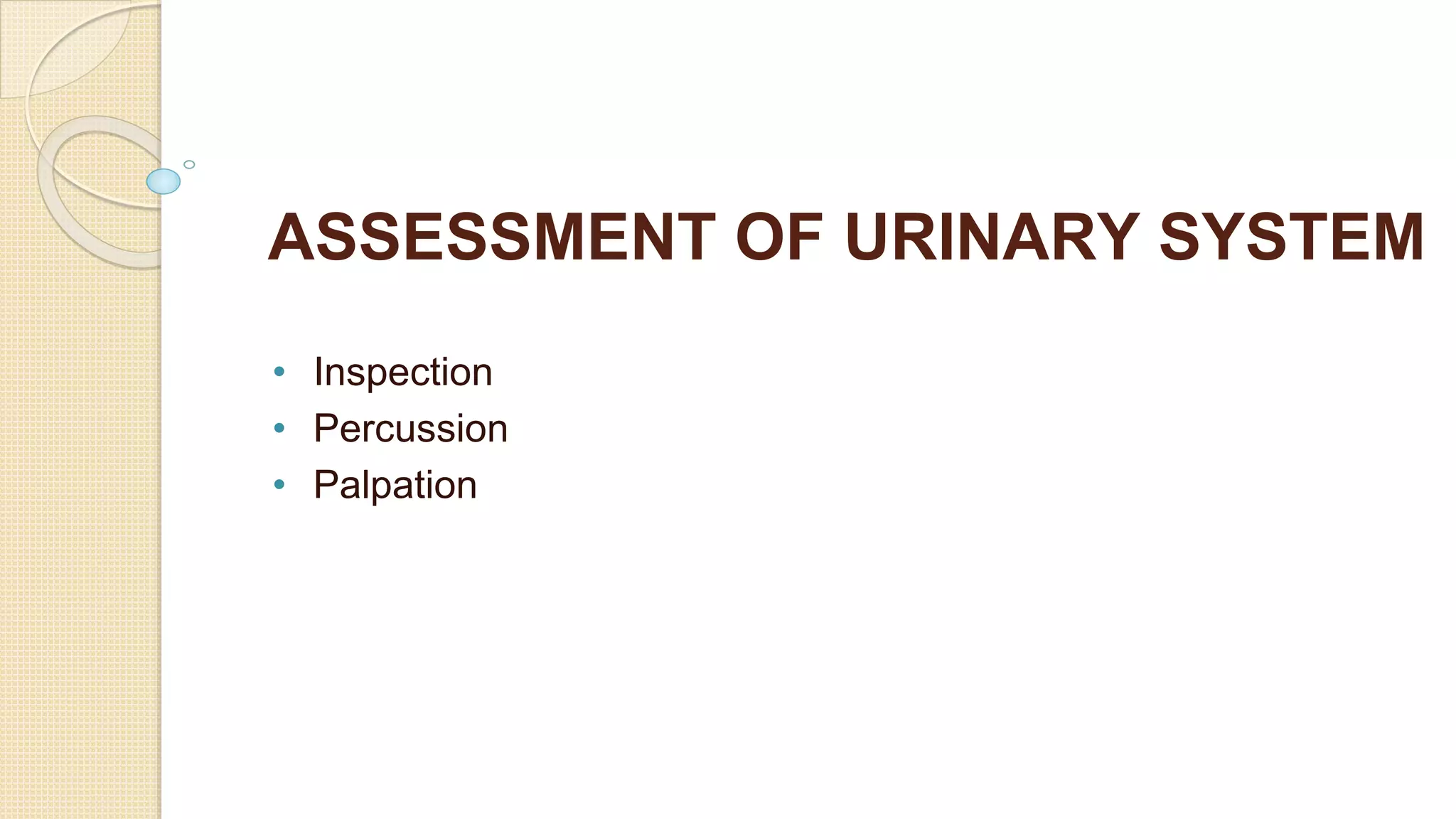 Genitourinary Assessment.pptx