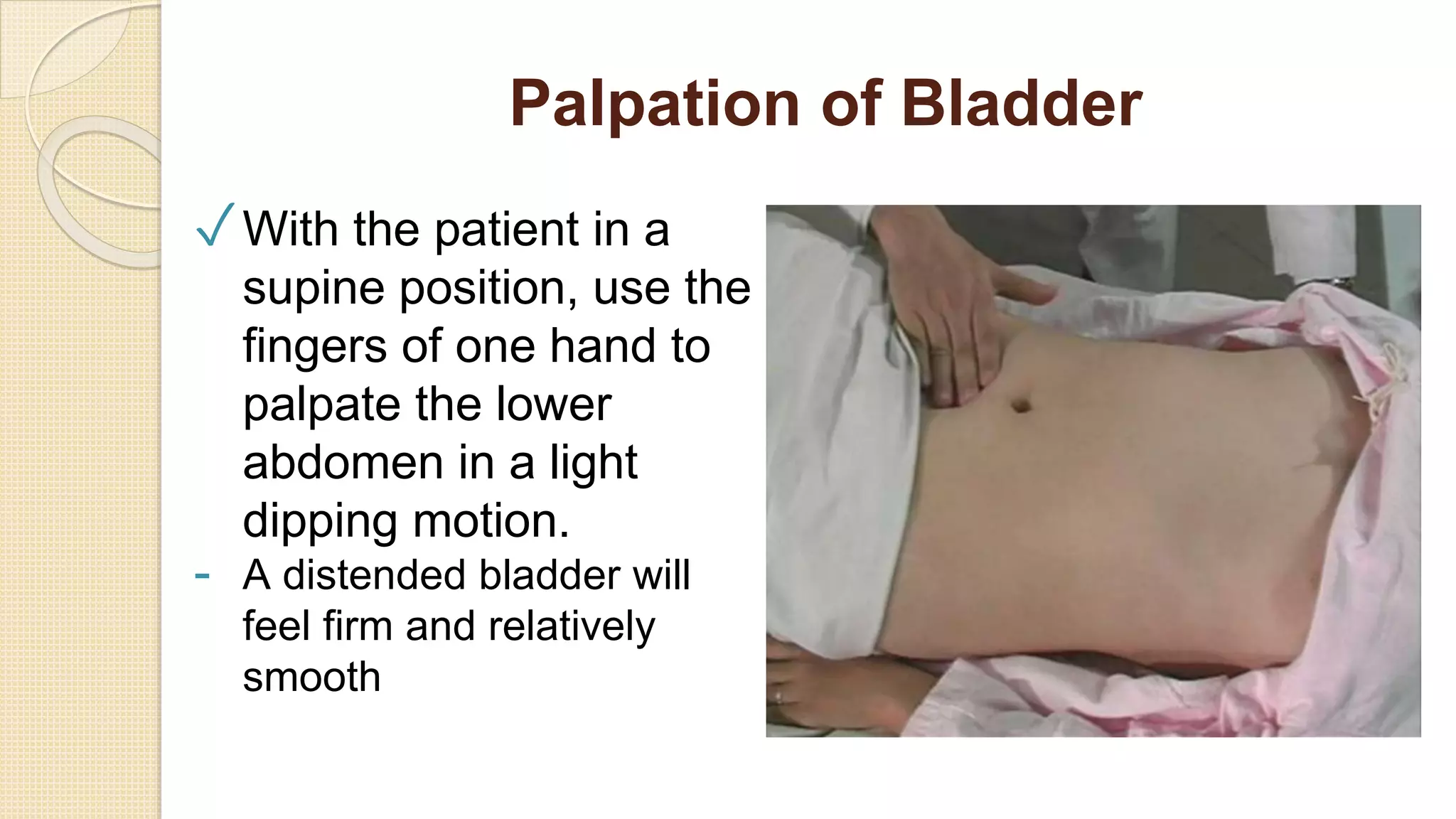 Genitourinary Assessment.pptx