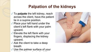 Genitourinary Assessment.pptx